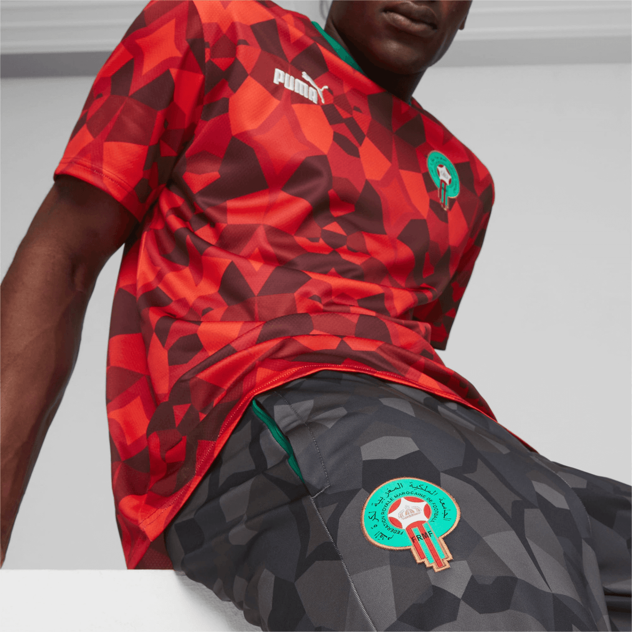 New Arrivals – FRMF